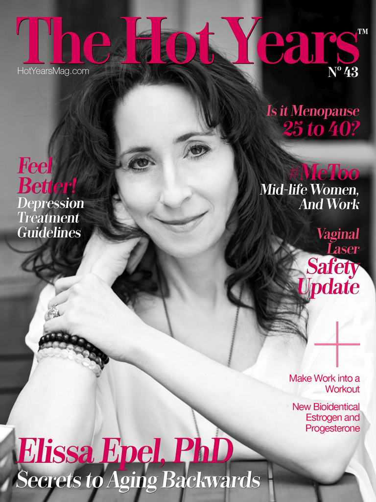 The Hot Years Magazine: Free Christmas Holiday Issue - Mache Seibel, M.D.